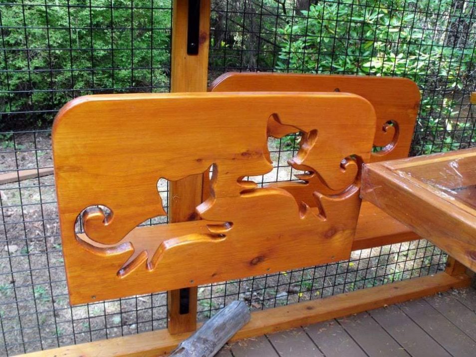 Outdoor Cat Enclosures Connected to House: 14 Amazing Ideas for Safe ...